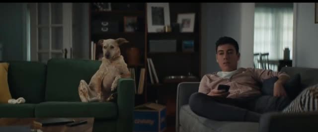 Chewy.com best friend on the couch Ad commercial