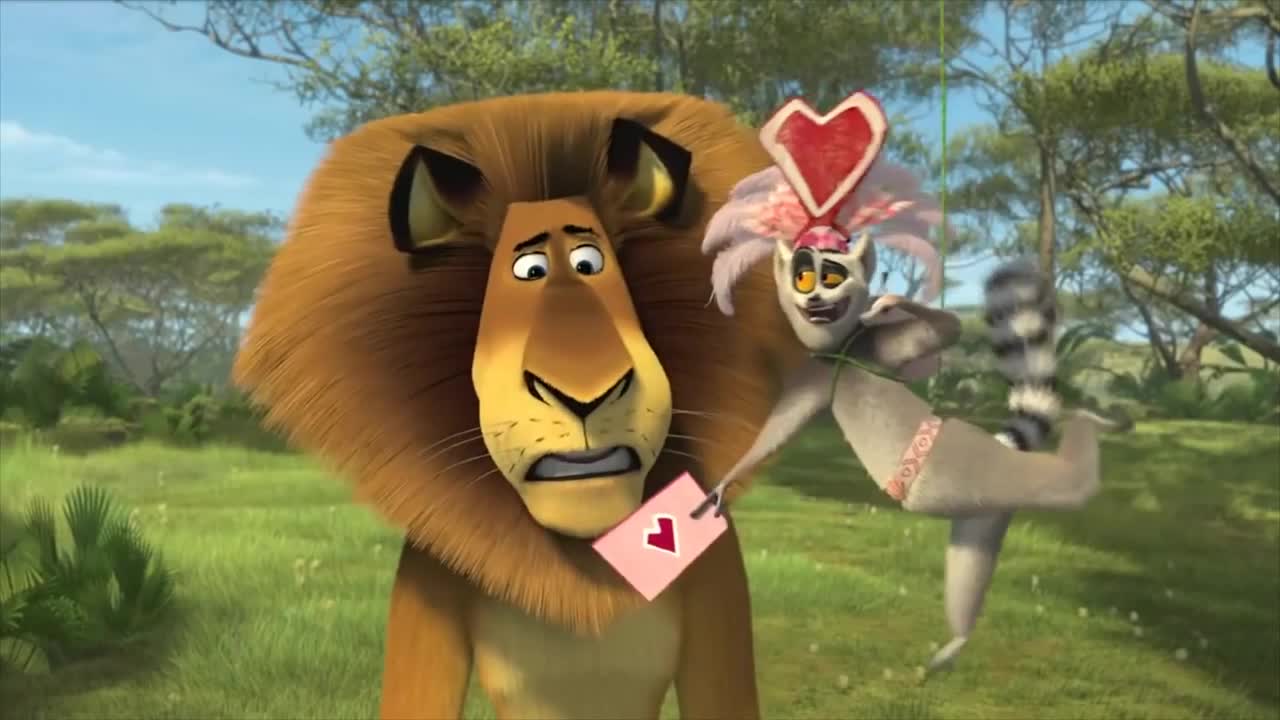 dreamworks madly madagascar ️valentines day special ️madly madagascar ...