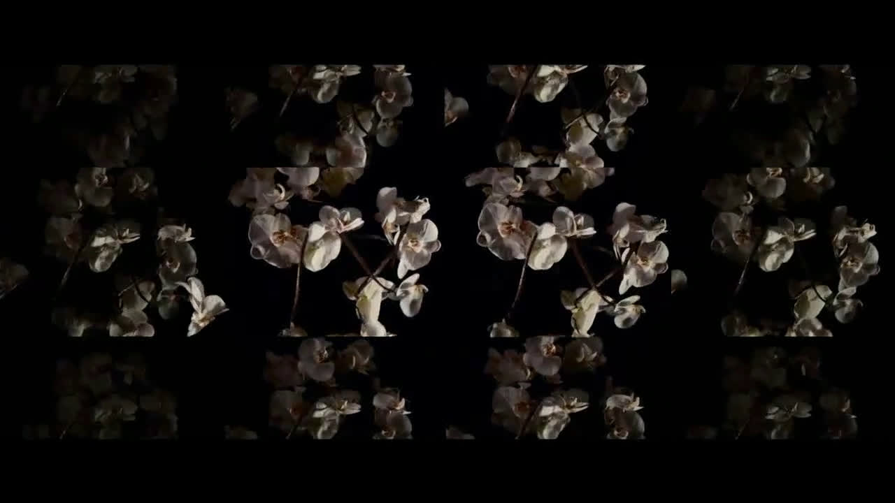 Hennessy V.S.O.P - Every Note Ad commercial